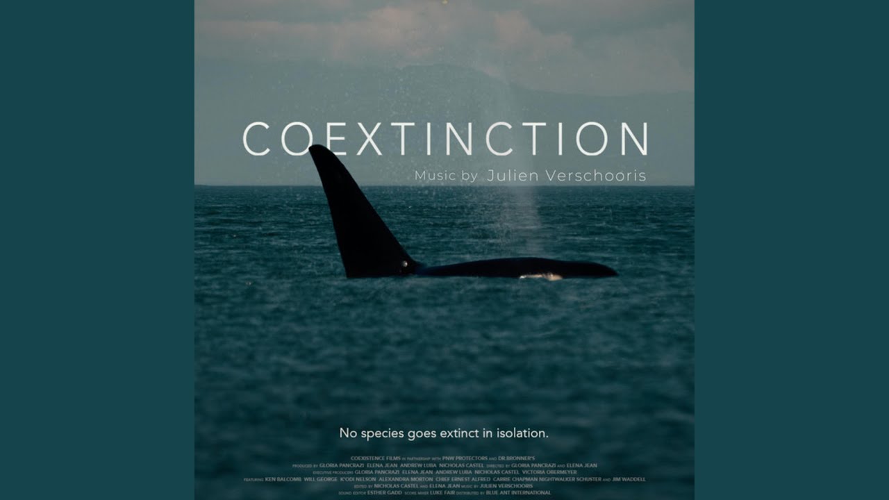 Our Collective Future