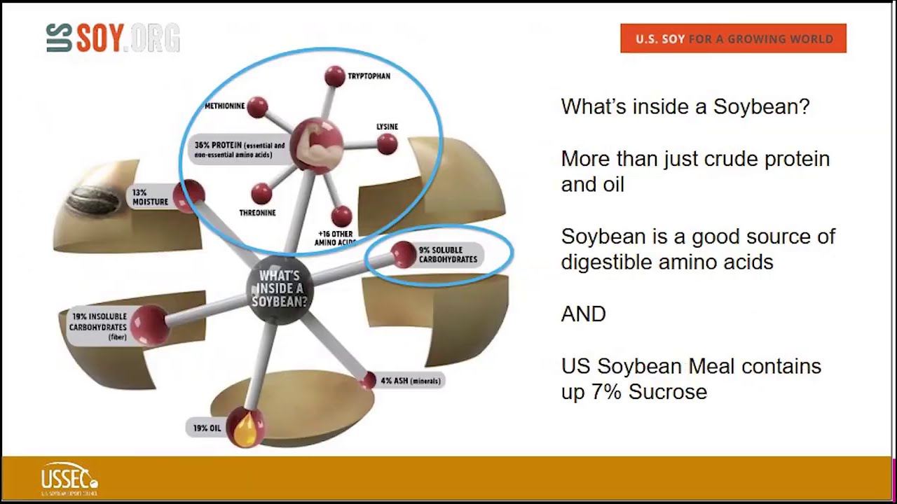 Soybean nutritional value calculator