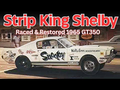 "Snoopy" Drag Racing '65 Shelby GT350 | Great History & Family Owned Since New!