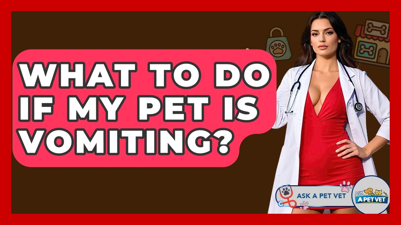 What To Do If My Pet Is Vomiting? - Ask A Pet Vet