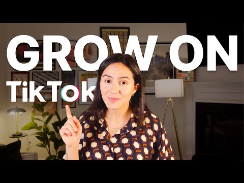 TikTok Insights: What They Mean and How to Use Them