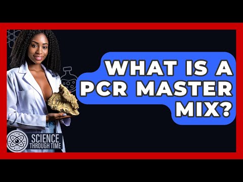 What Is A PCR Master Mix? - Science Through Time