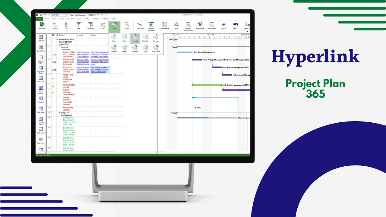 Use Hyperlinks in Project Plan 365