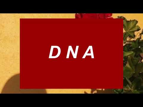 DNA - BTS LYRICS (ENGLISH TRANSLATION)