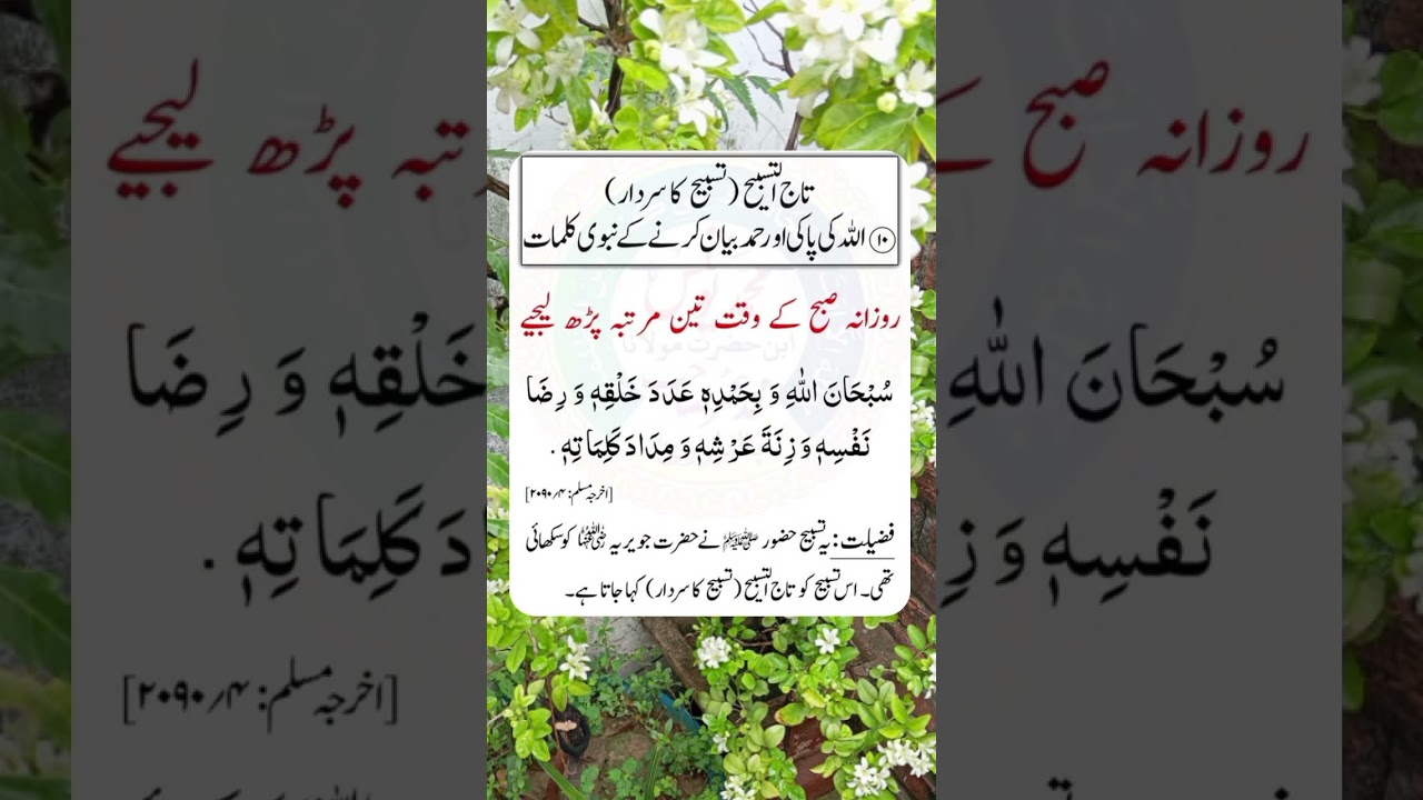 wazifa for hazat 🤲🏻#islamic#dua #quran#tarjuma🌹👈🏻#quotes #wazifa#trendingshorts