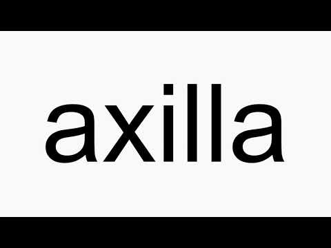 How to pronounce axilla