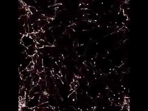 stars / 1 – stars, crystals, and more