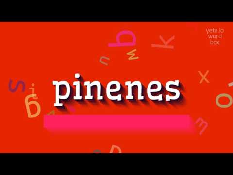 How to say "pinenes"! (High Quality Voices)
