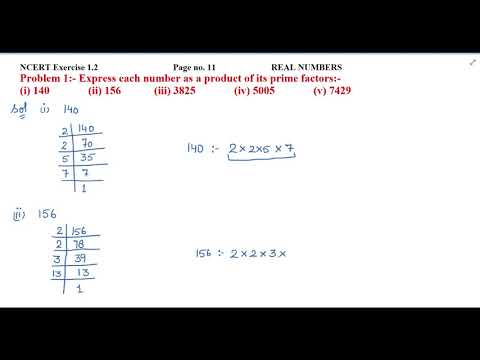 Express each number as a product of its prime factors:-(i) 140 (ii) 156 ..