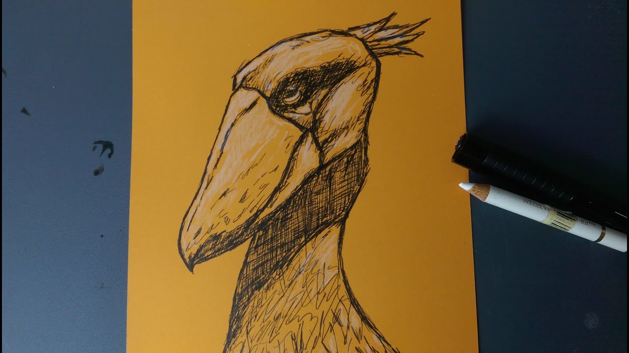 A Shoebill Sketch - Timelapse