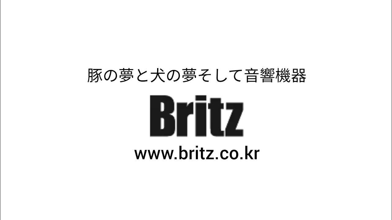 Britz International Logo