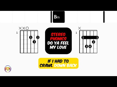 STEREOPHONICS Do Ya Feel My Love FCN GUITAR CHORDS & LYRICS