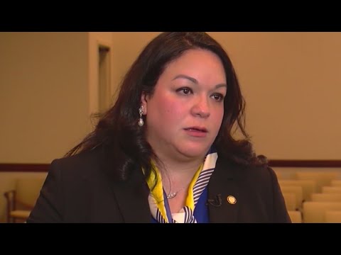 Senator Luz Escamilla announces she will run for mayor in 2019