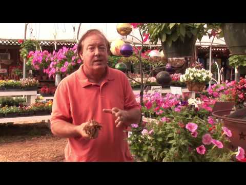 Mulching Tips : What Does Mulch Look Like?