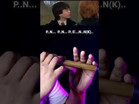 Harry Potter Theme Flute Notes | #harrypotter #flutenotes #flutetutorial #harrypotterfan #flutecover