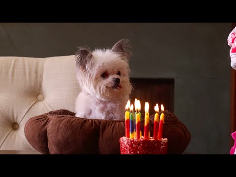 Happy Birthday, Norbert! – Lee Duigon