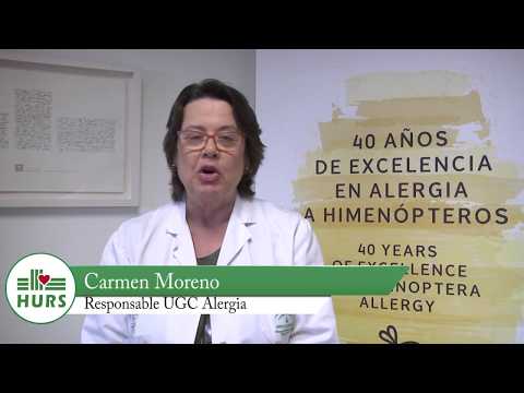 Cómo actuar ante una picadura de insecto