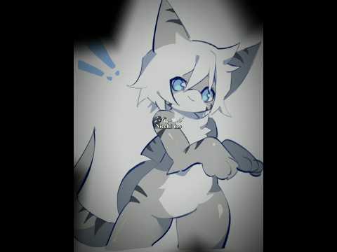 Tiger Shark β¨οΈπ€π₯° # 633 #changed