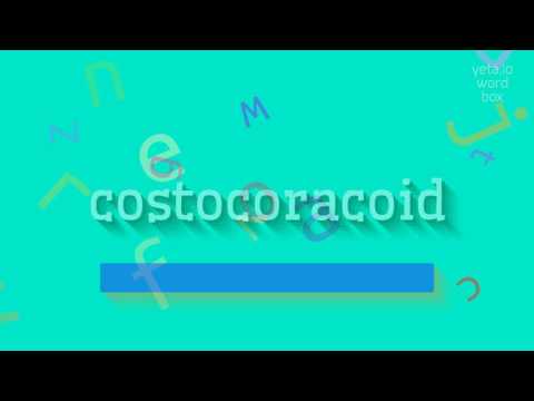 COSTOCORACOID - How to pronounce it?
