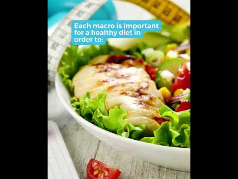 What Are Macros?