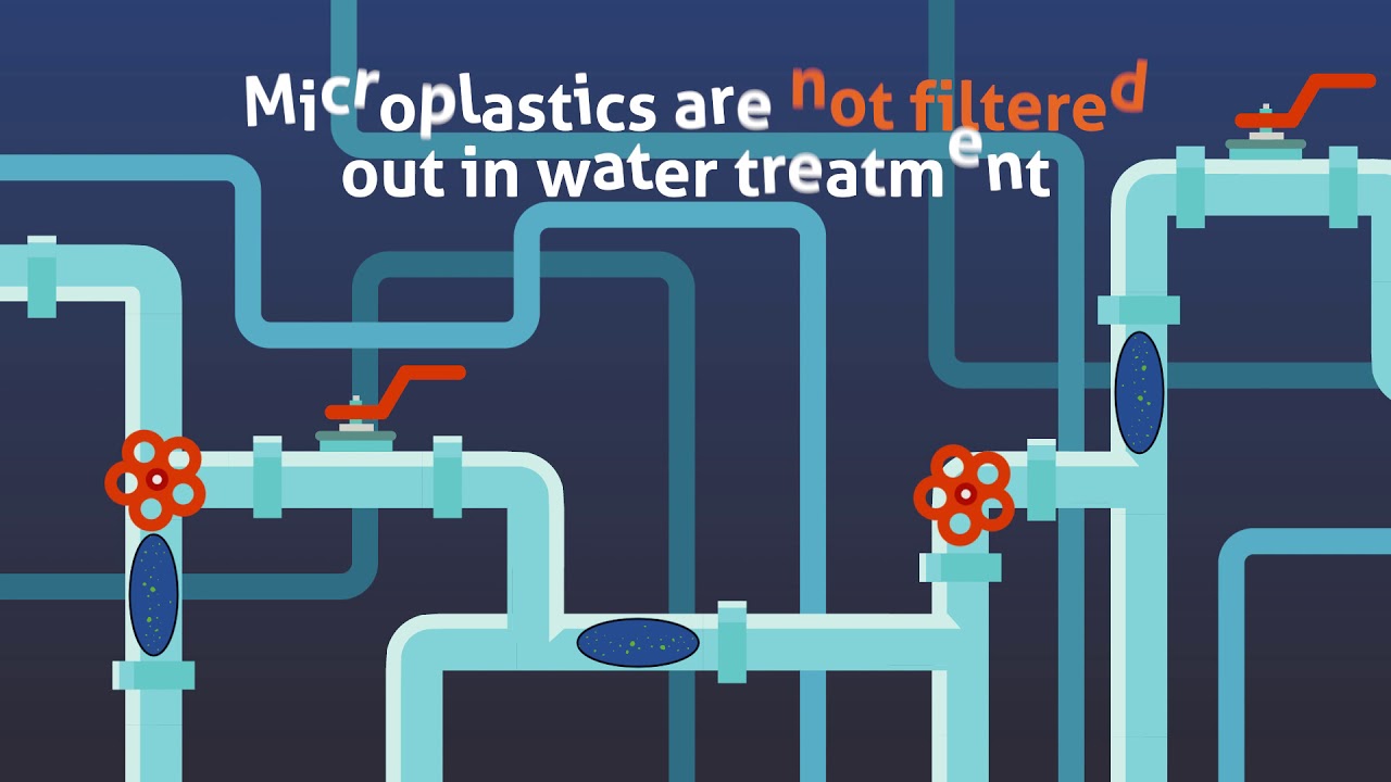 Microplastics And You