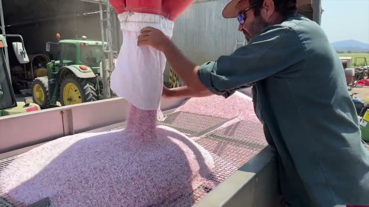 Nitrate Inhibitors: Benefits for Your Crop and Water Quality Management