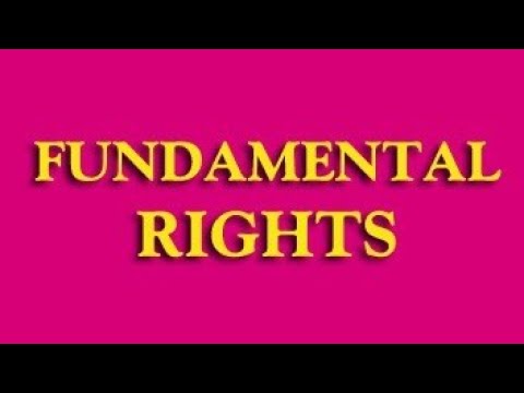 What are fundamental rights