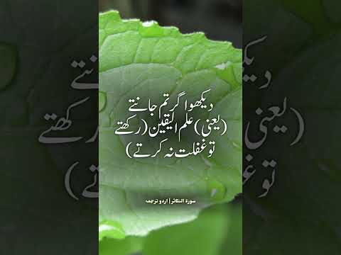 Surah Takasur #surahtakasur #allahkafarman #allah #islam #quran #foryou #shorts #tarjuma #tilawat
