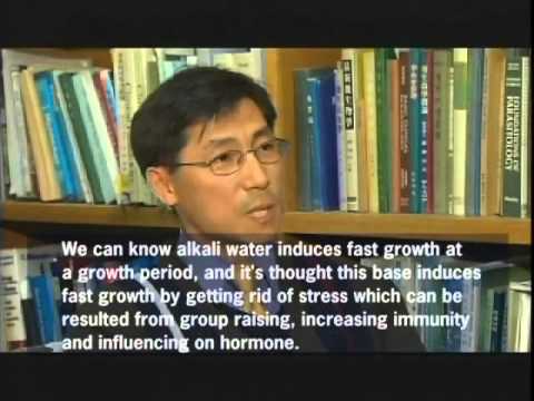 Alkaline Water Research Part 1