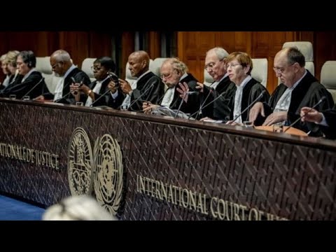 Craig Mokhiber: ICJ Decision is Historic – INTERNATIONALIST 360°