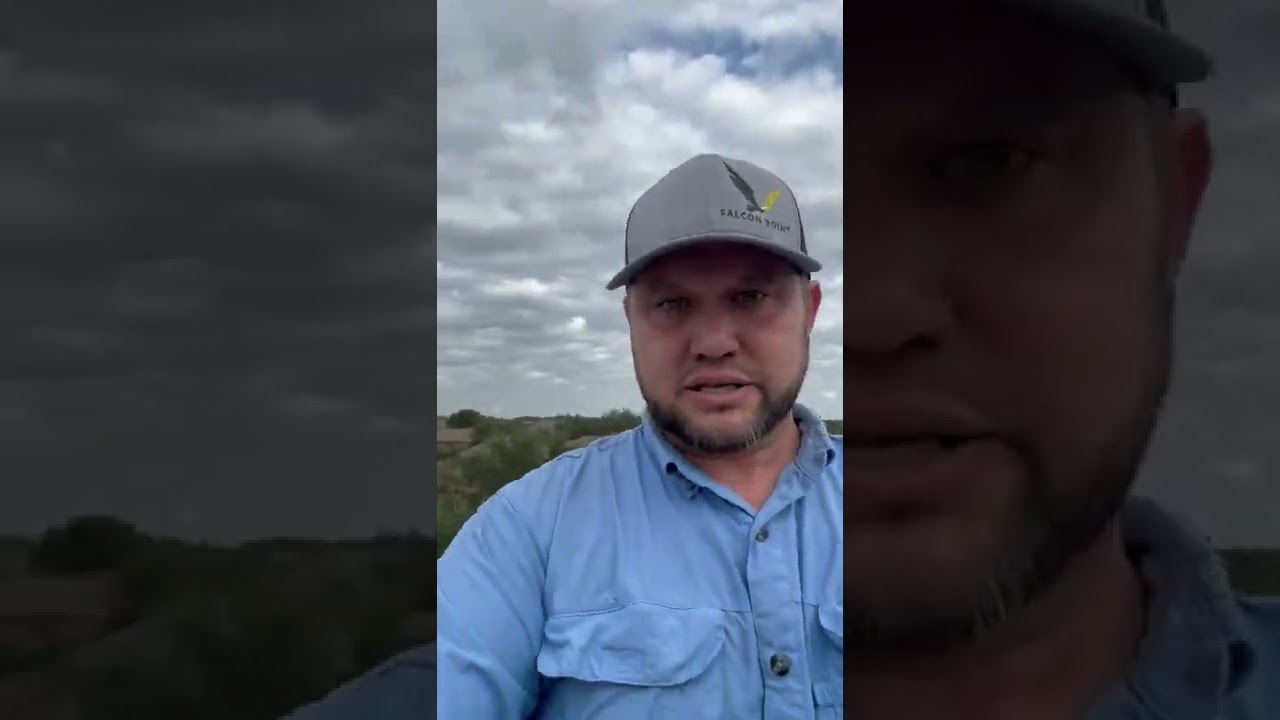 Roofing 101: What is roof maintenance and why do you need it?