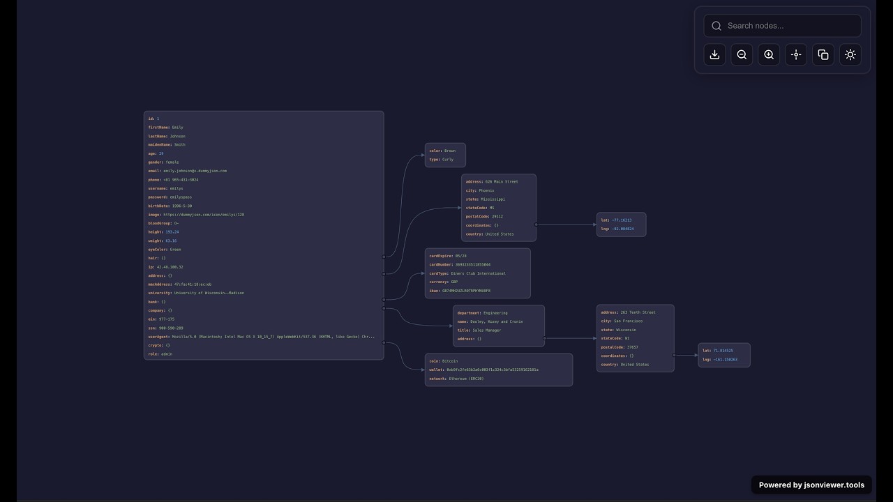 JSON Viewer: Interactive Graph Visualizer for VS Code