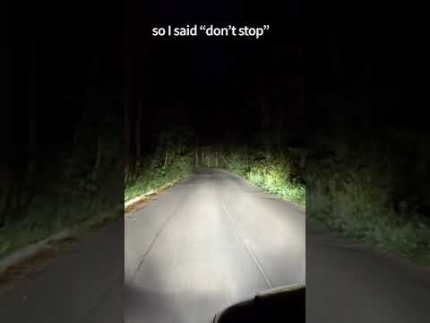 Don't Stop on a Dark Deserted Highway - True Creepy Story