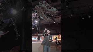 How we KNOW T. Rex could regrow its teeth like a shark #dinosaur #science #fossil #teeth #shark