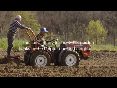 A Tale of 3 Tractors (Life in Le Marche, Italy)