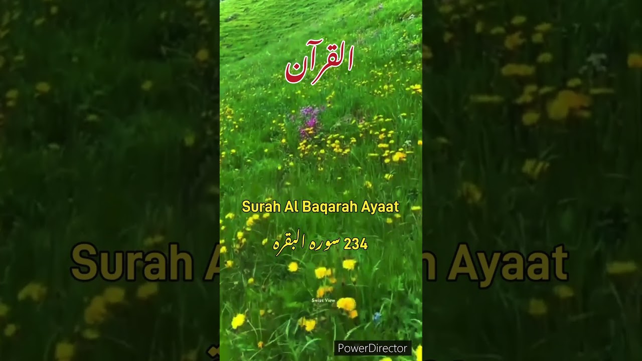Surah Al Baqarah Chapter 02 Urdu Tarjuma Kanzul Eman Ayaat Surat Baqarah