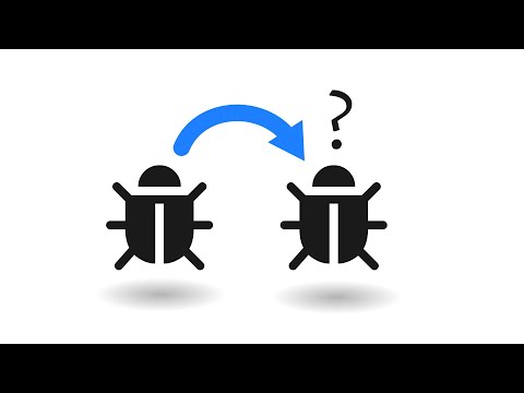 Wait, but Who's Debugging the Debugger?!