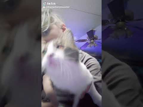 This is my cat kevin he is, and my tiktok is therianfurrymonster