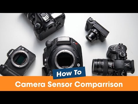 Camera Sensor Size Comparison -Micro Four Thirds to Large Format Explained