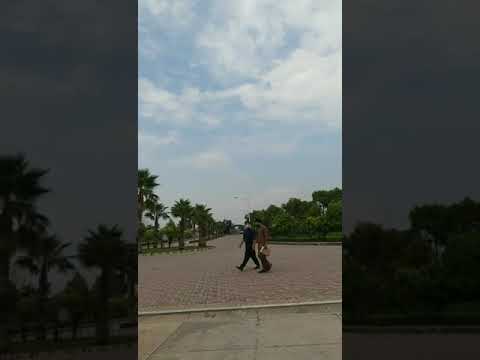 Comsats University islamabad l My Office l Junaid smw vlog
