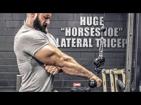 5 “Horseshoe” Tricep Exercises  (YOU’RE MISSING THESE!)