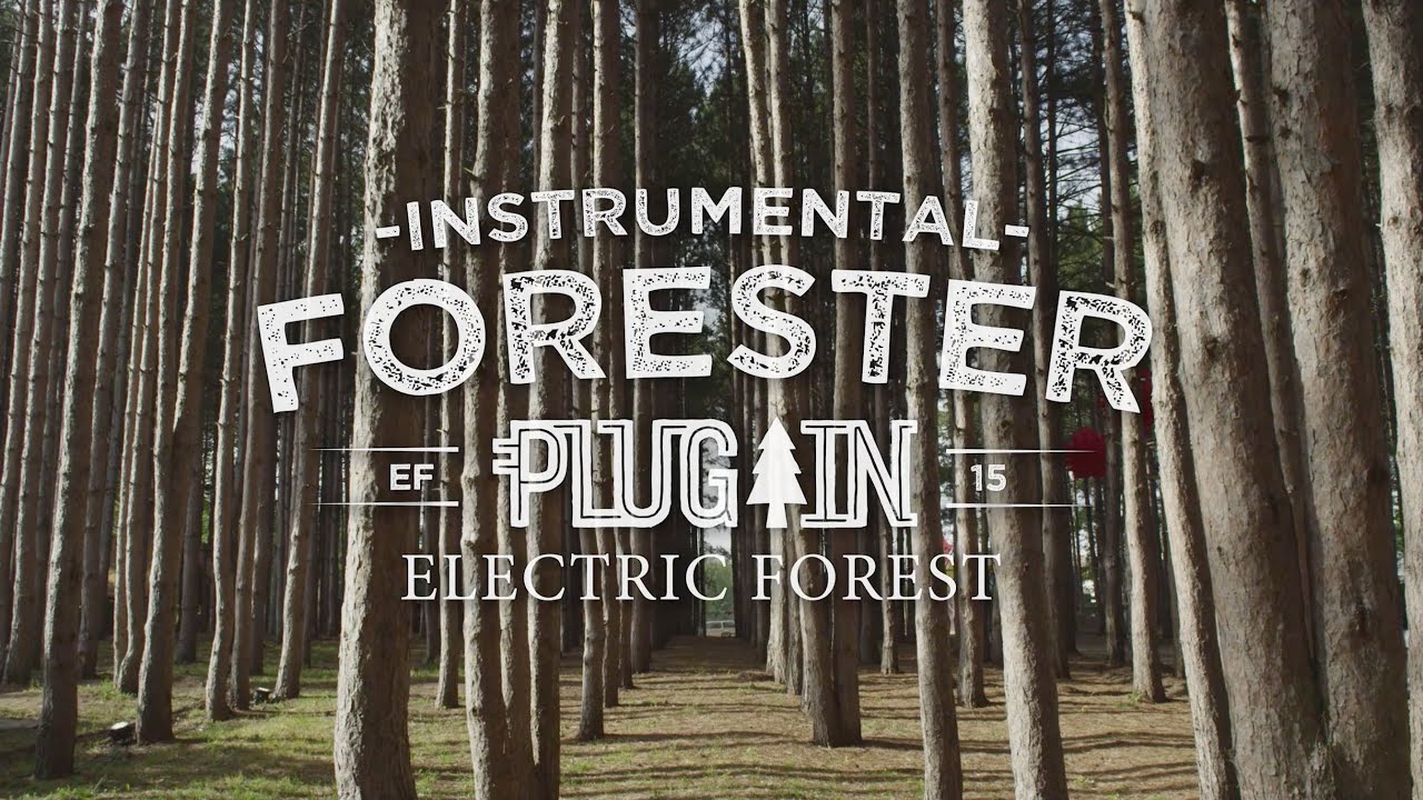 EF15 | Plug In Program - Instrumental Forester
