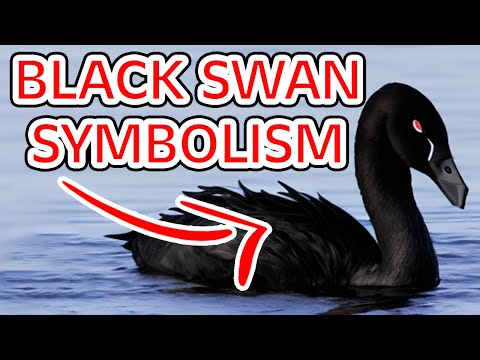 Black Swan: Symbolism and Dream Meaning