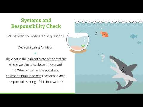 Scaling Scan Step 1b – System and Responsibility Check