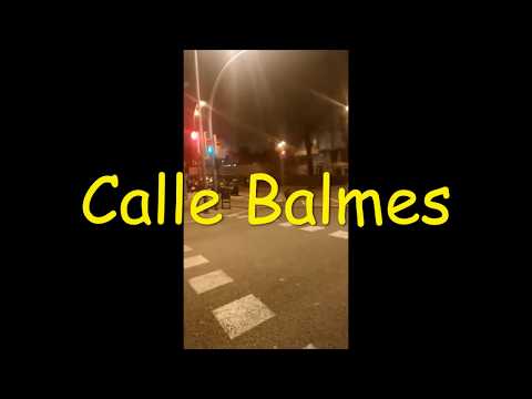 Coronavirus : Sangliers à Barcelone / Boars in the centre of Barcelona