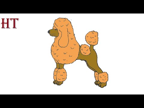 How To Draw A Poodle Dog Step by Step – I'm Youtuber – Follow my videos ...