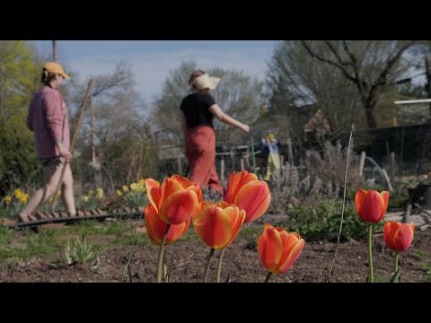 Canon Powershot V1: Sample 4k C-Log3 footage (6390C001)