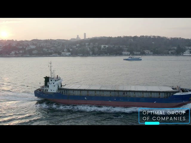 Optimal Shipping – www.optimalshipping.com