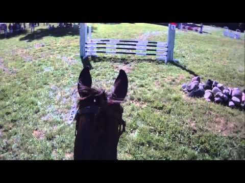 Me on Itty Bitty Sarah: helmet cam show jumping