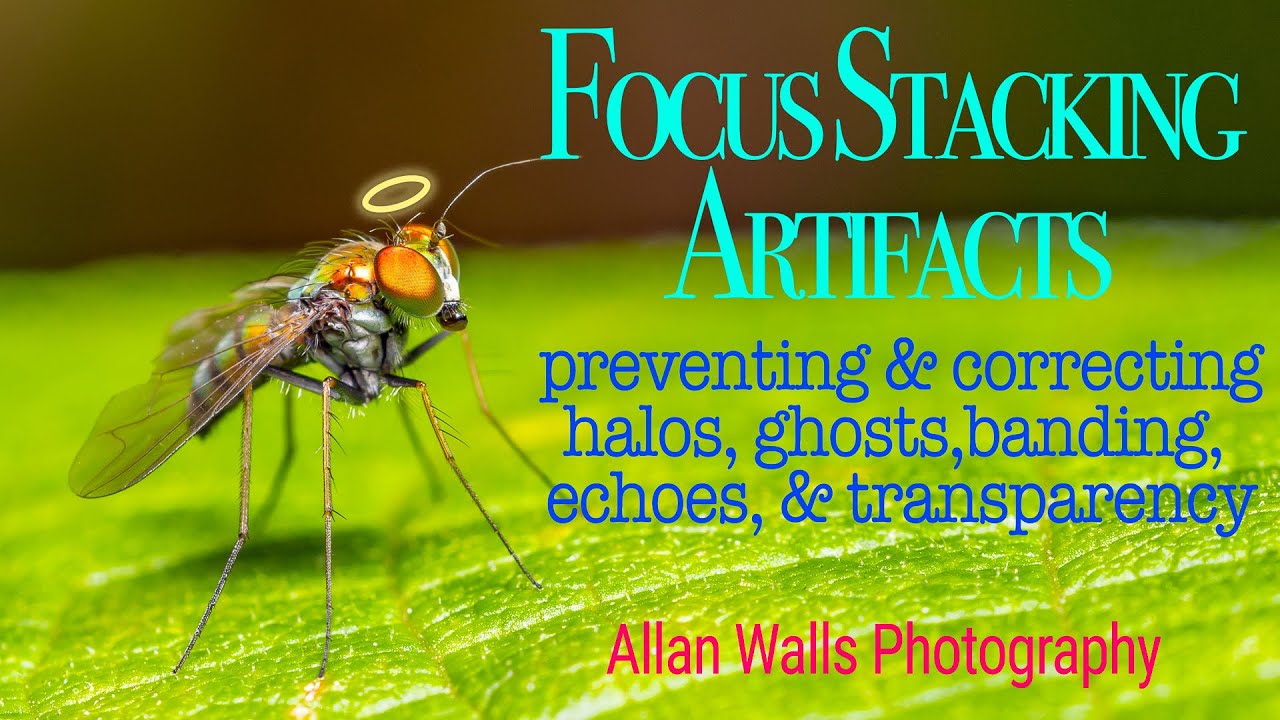 Focus-Stacking Artifacts - Prevention & Correction